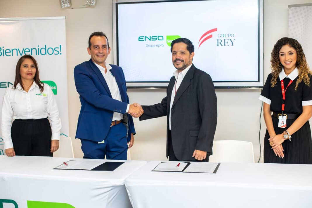 Grupo Rey y ENSA Servicios impulsan el mayor proyecto privado de ...